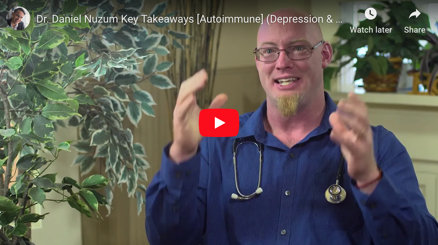 Dr. Daniel Nuzum Key Takeaways [Autoimmune] (Depression & Anxiety ...